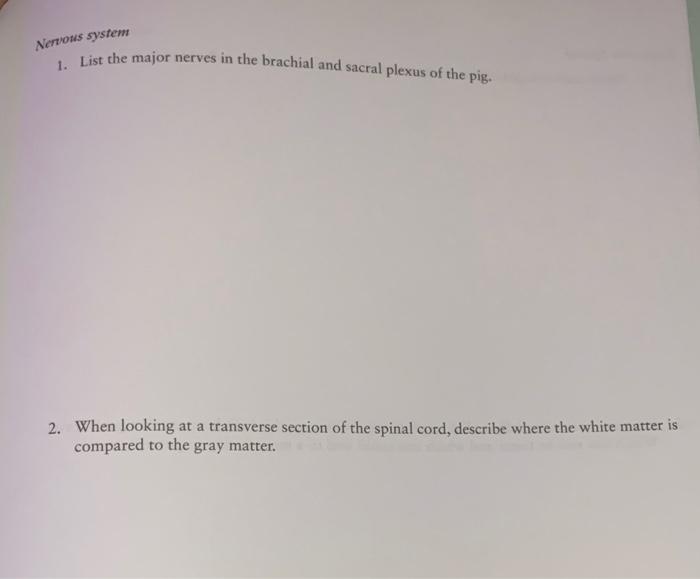Solved Nenous system 1. List the major nerves in the | Chegg.com