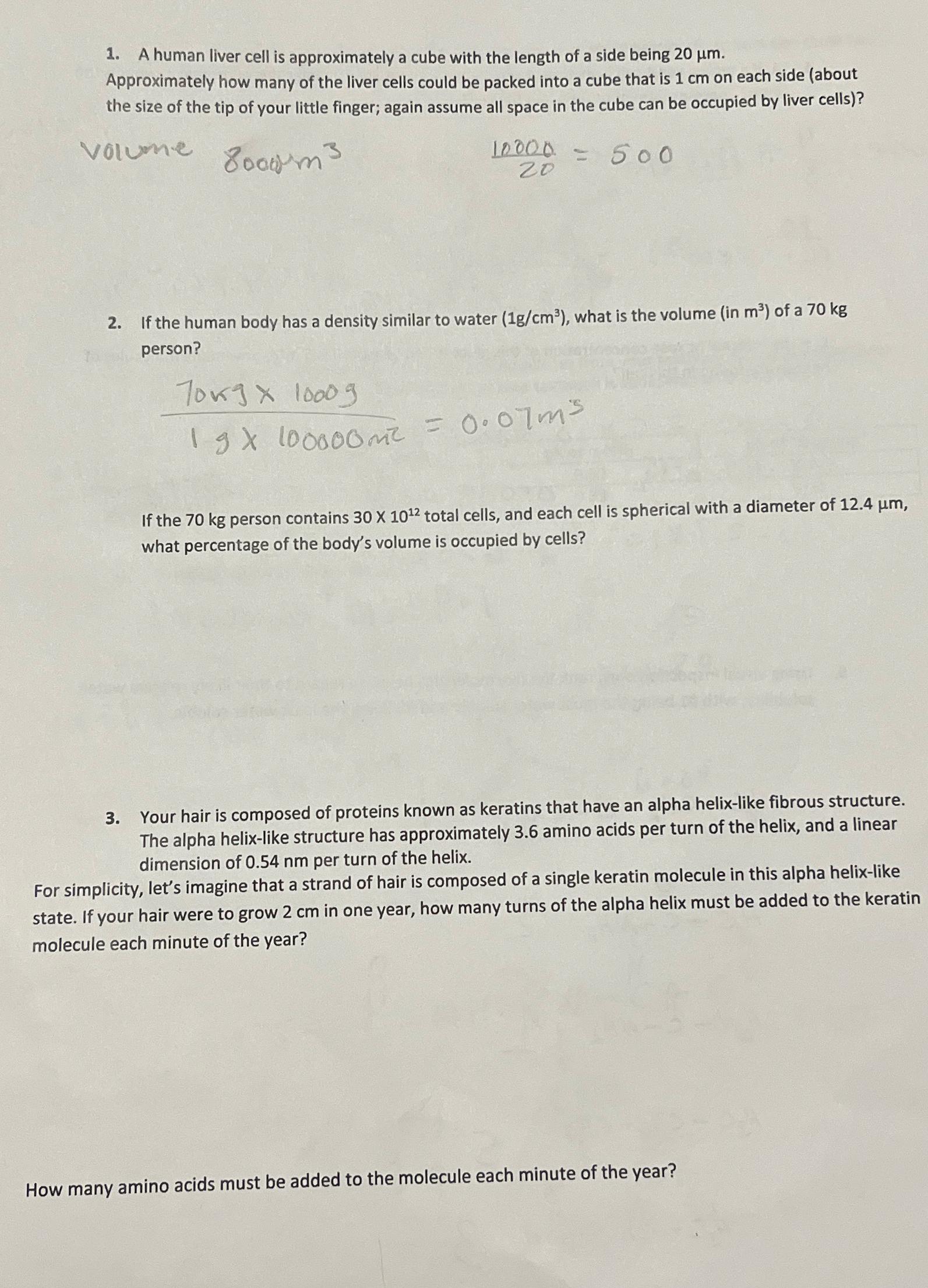 Solved A human liver cell is approximately a cube with the | Chegg.com