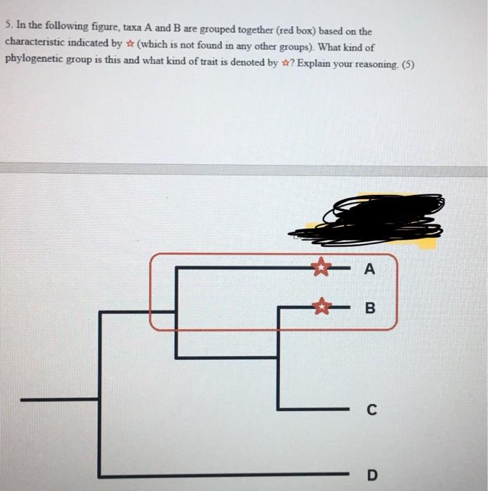Solved 5. In the following figure, taxa A and B are grouped | Chegg.com