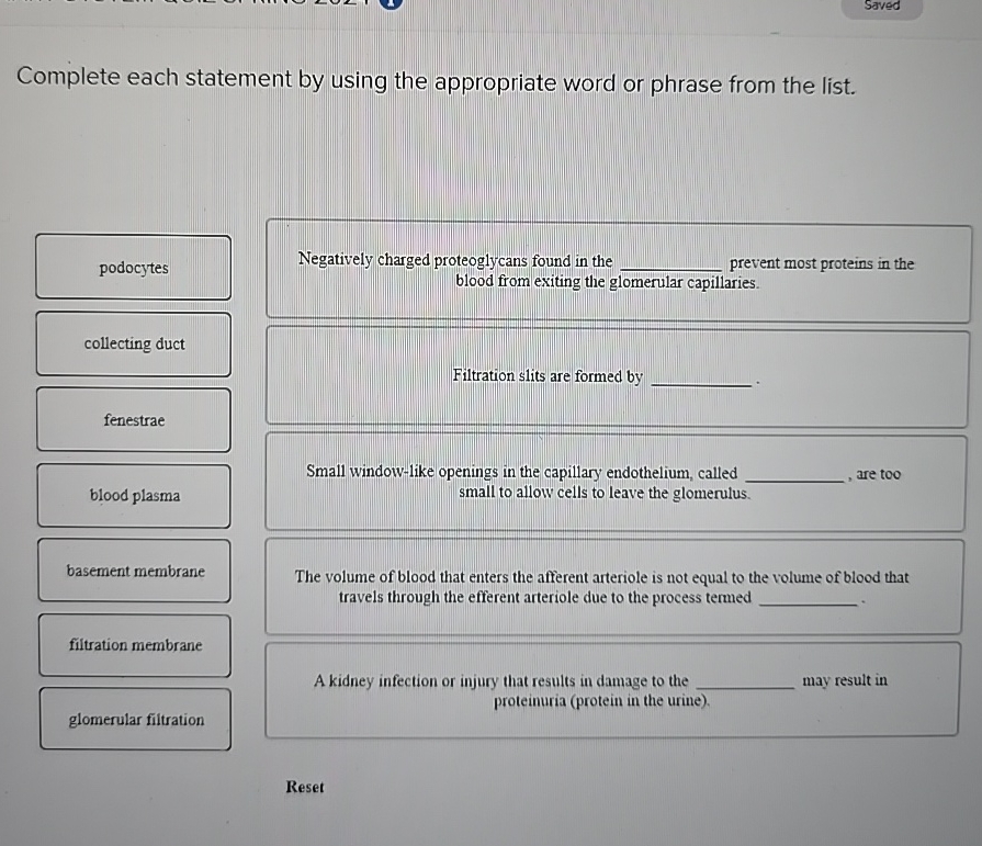 Solved Complete each statement by using the appropriate word | Chegg.com