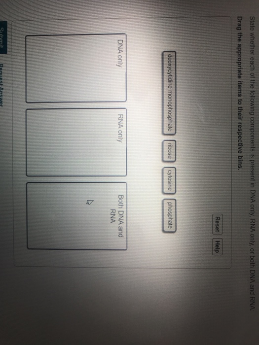 Solved State whether each of the following components is | Chegg.com