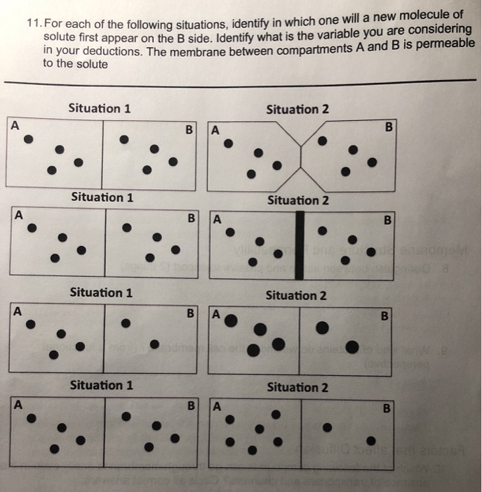 Solved 11. For each of the following situations, identify in | Chegg.com
