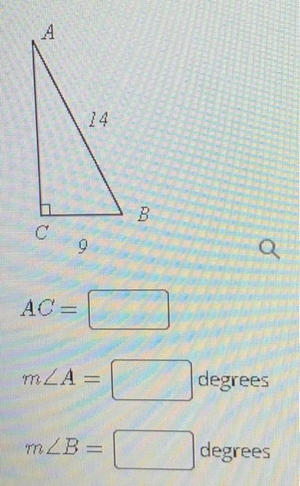 Solved m∠A= degrees | Chegg.com