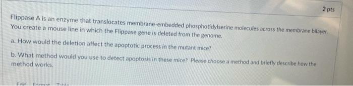 Solved 2 pts Flippase A is an enzyme that translocates | Chegg.com