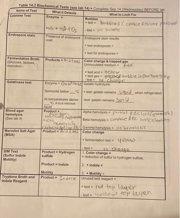 Table 14.2 Biochemical Tests (see lab 14) = Complete | Chegg.com