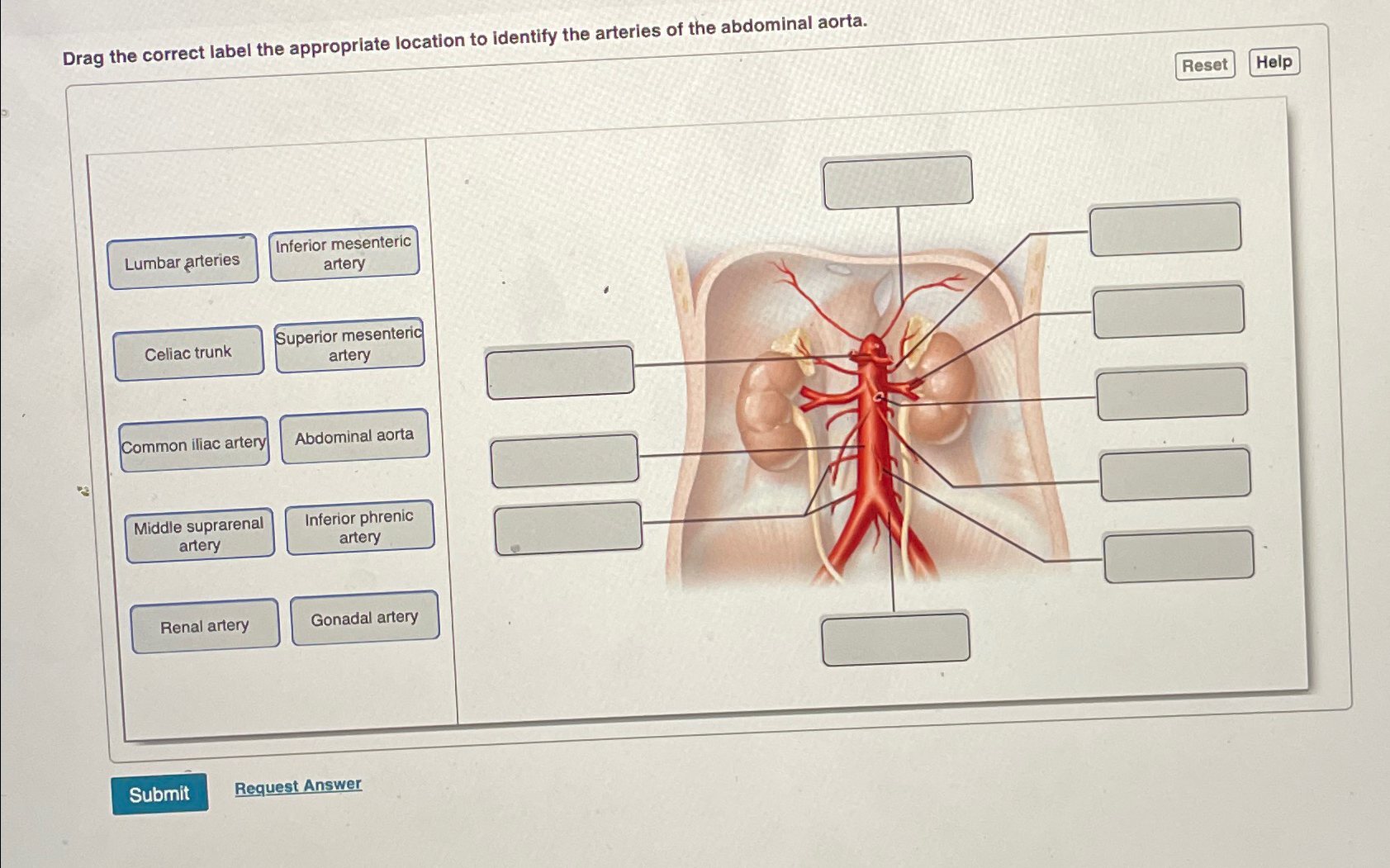 Solved Drag the correct label the appropriate location to | Chegg.com