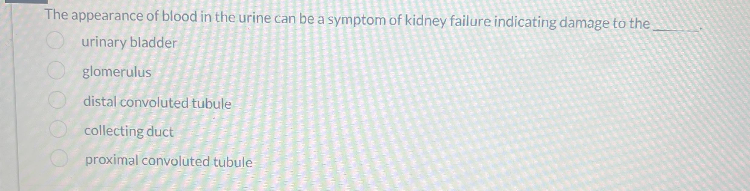 Solved The appearance of blood in the urine can be a symptom | Chegg.com