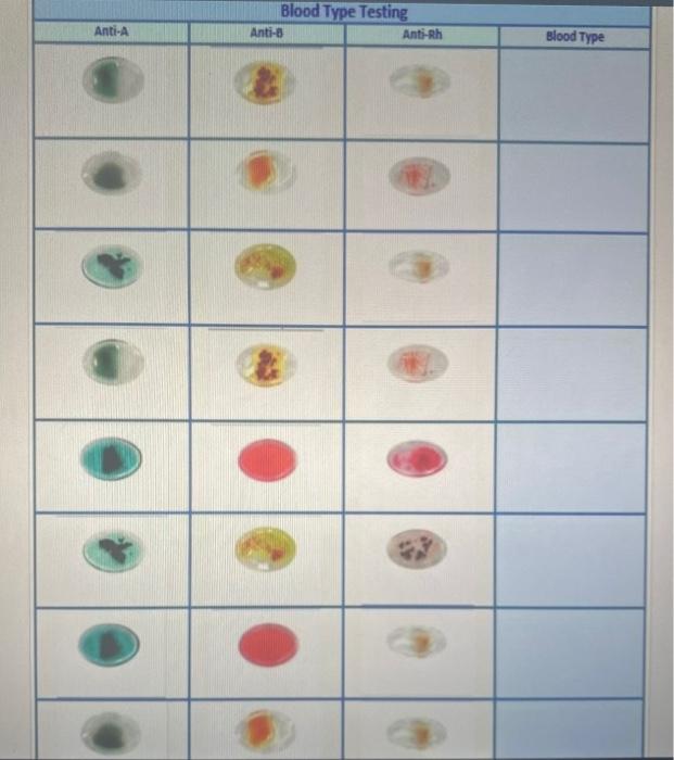 Solved HELP PLEASEEE!!Use the chart attatched to fill in | Chegg.com
