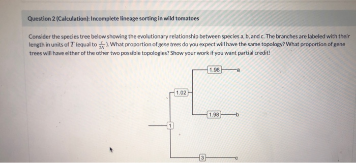 Question 2 (Calculation): Incomplete lineage sorting | Chegg.com