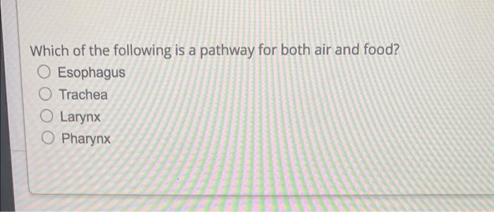Solved Which of the following is a pathway for both air and | Chegg.com