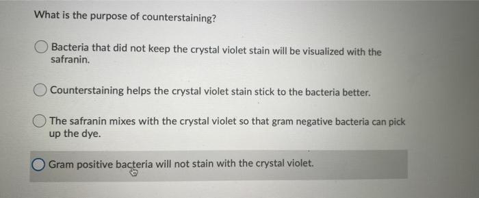 Solved What is the purpose of counterstaining? Bacteria that | Chegg.com
