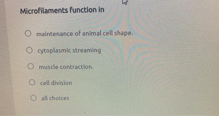 Solved hs Microfilaments function in O maintenance of animal | Chegg.com