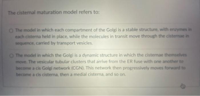 Solved The cisternal maturation model refers to: The model | Chegg.com