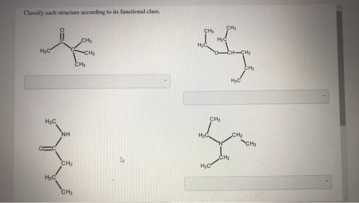 Solved Classify each structure according to its functional | Chegg.com
