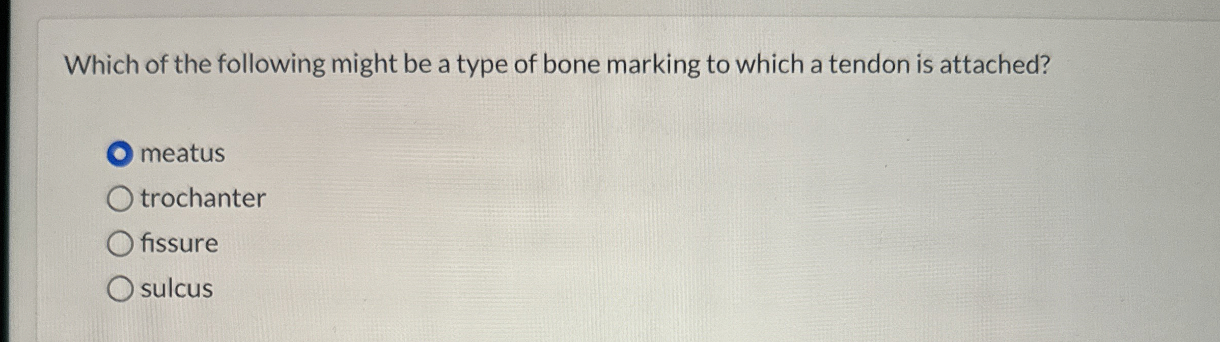 Solved Which of the following might be a type of bone | Chegg.com