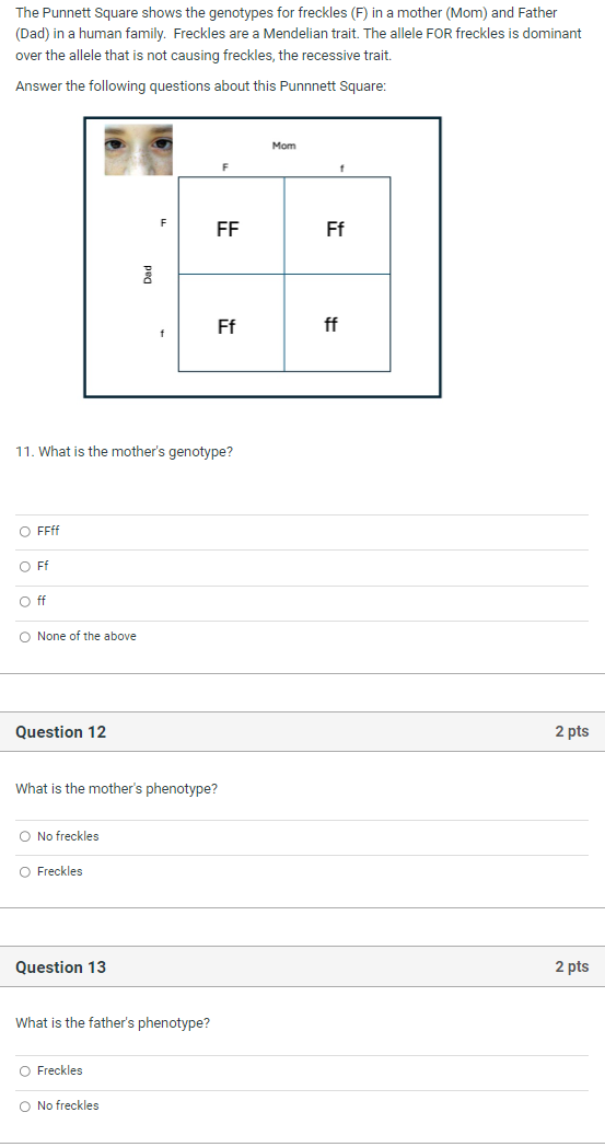 Solved The Punnett Square shows the genotypes for freckles | Chegg.com