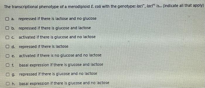 Solved The transcriptional phenotype of a merodiploid E. | Chegg.com