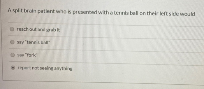 Solved A split brain patient who is presented with a tennis | Chegg.com