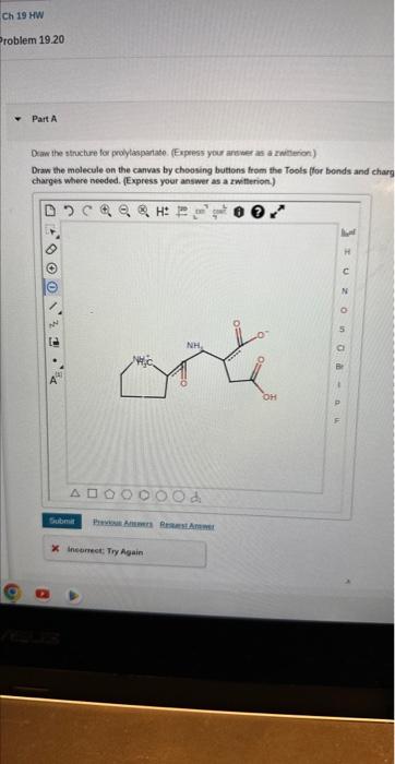 Solved Qam the strucbure for prolytaspartate. (Expeess your | Chegg.com