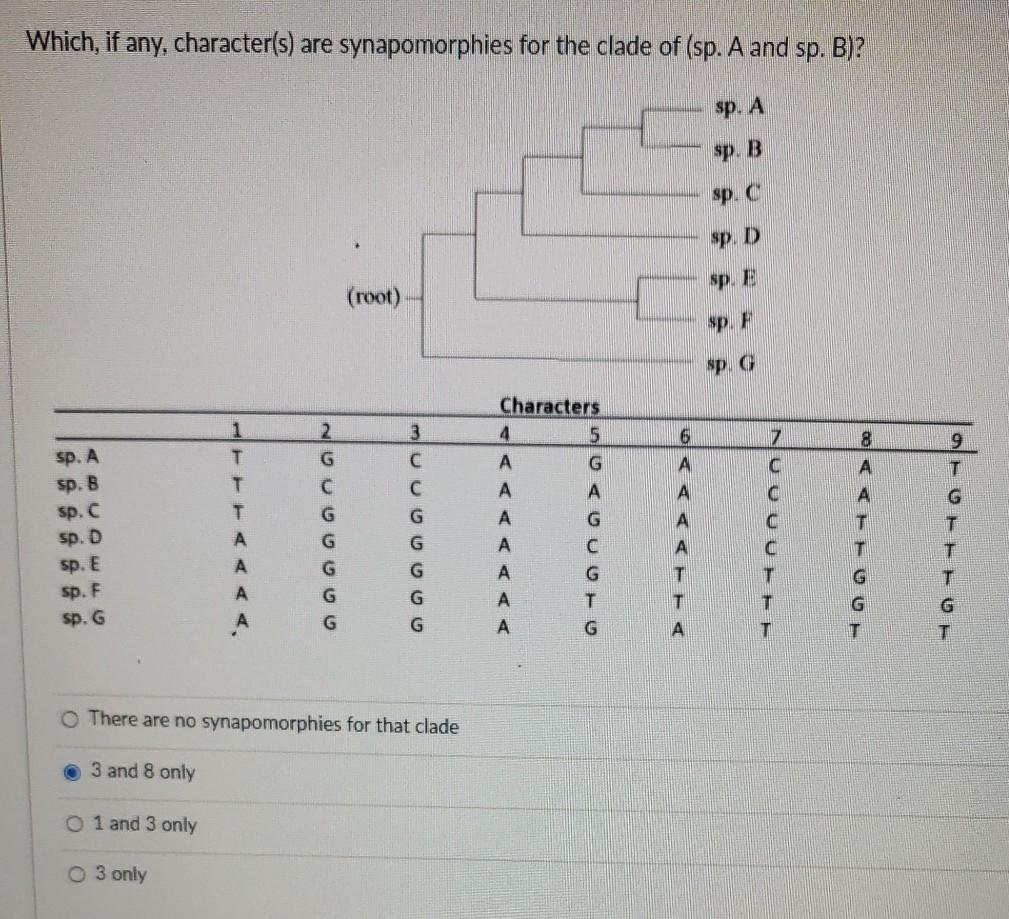 Solved which if any characters are synapomorphies for the | Chegg.com