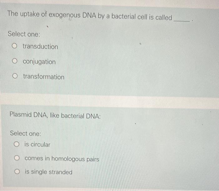 Solved The uptake of exogenous DNA by a bacterial cell is | Chegg.com