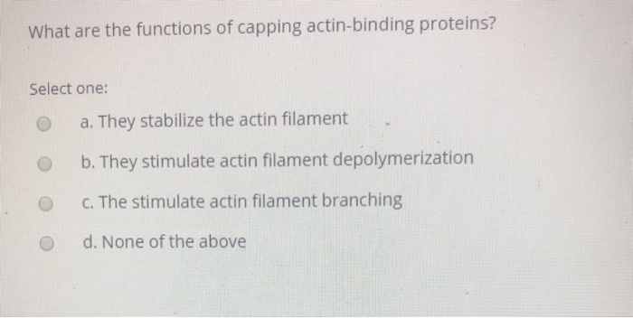 Solved What are the functions of capping actin-binding | Chegg.com
