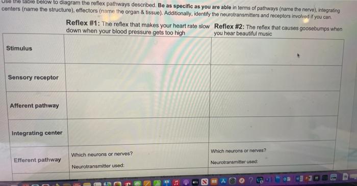 diagram the refiex pathways described. Be as specific | Chegg.com