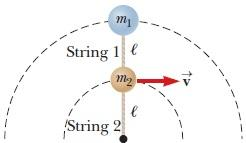 Solved An object of mass m1 = 4.00 kg is tied to an object | Chegg.com