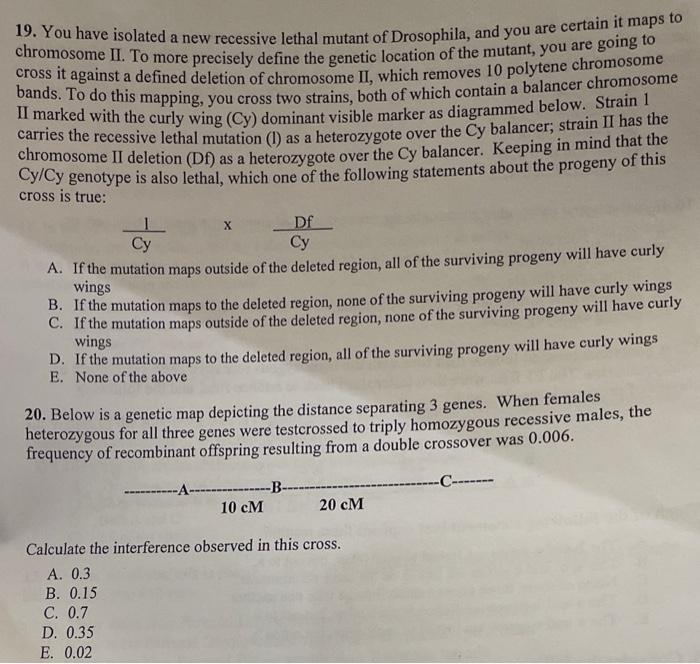 Solved 19. You have isolated a new recessive lethal mutant | Chegg.com