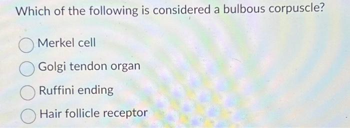 Which of the following is considered a bulbous | Chegg.com