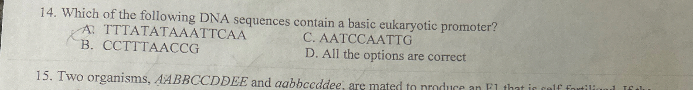 Solved Which of the following DNA sequences contain a basic | Chegg.com