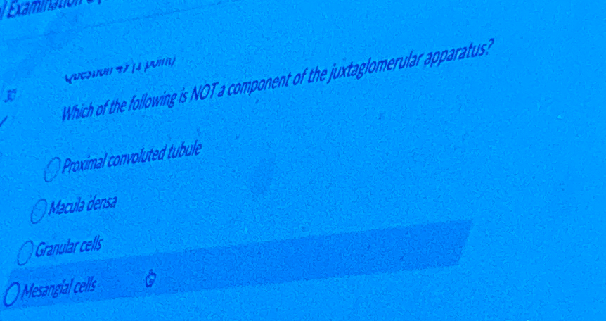 Solved Which of the following is NOT component of the | Chegg.com