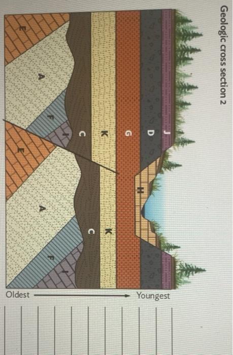 Solved Geologic cross section 2 D Youngest G K K C с Oldest | Chegg.com