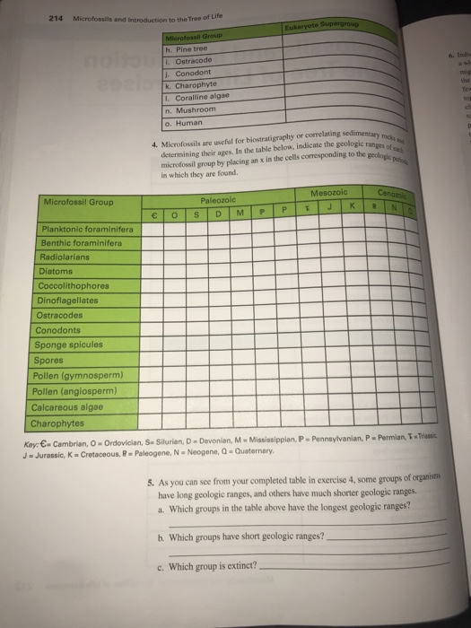 Solved 214 Microfossils and Introduction to the Tree of Life | Chegg.com