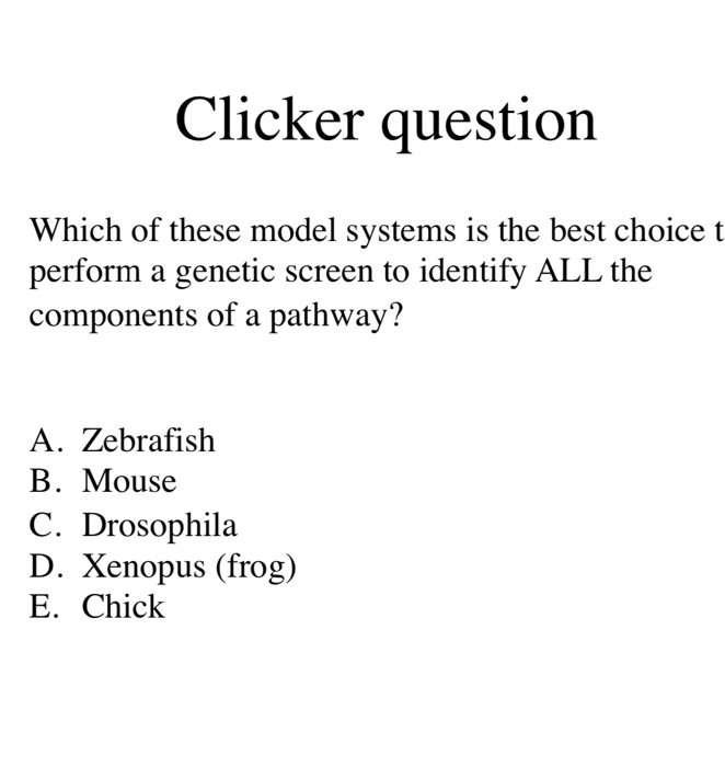Solved Clicker question Pancreas Lens and cornea Neural tube | Chegg.com