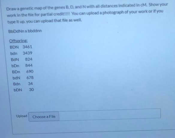 Solved Draw a genetic map of the genes B, D and N with all | Chegg.com