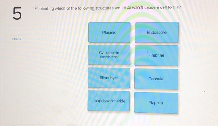 Solved Eliminating which of the following structures would | Chegg.com