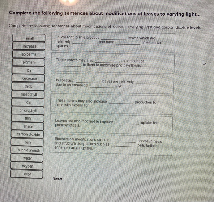Solved Complete the following sentences about modifications | Chegg.com