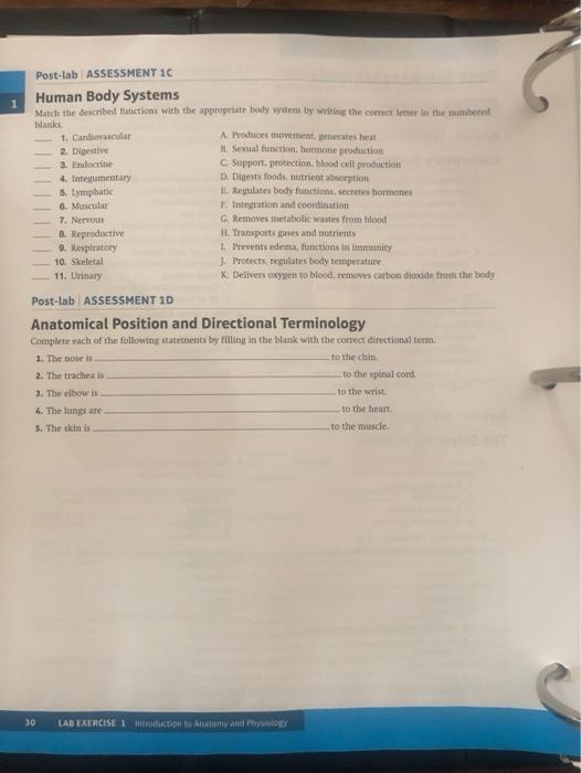 Solved Post-lab ASSESSMENT 1C 1 Human Body Systems Match the | Chegg.com