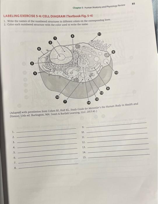Solved BELING EXERCISE S-4: CELL DIAGRAM (Textbook Fig. 5-4) | Chegg.com