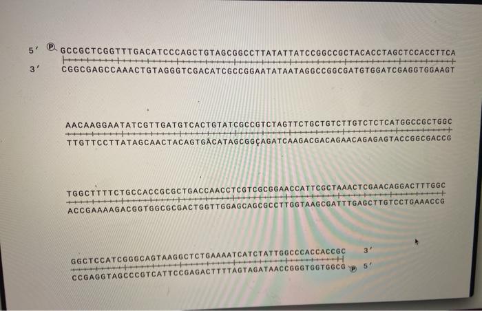 Solved Promoter region Using the bacterial DNA sequence | Chegg.com