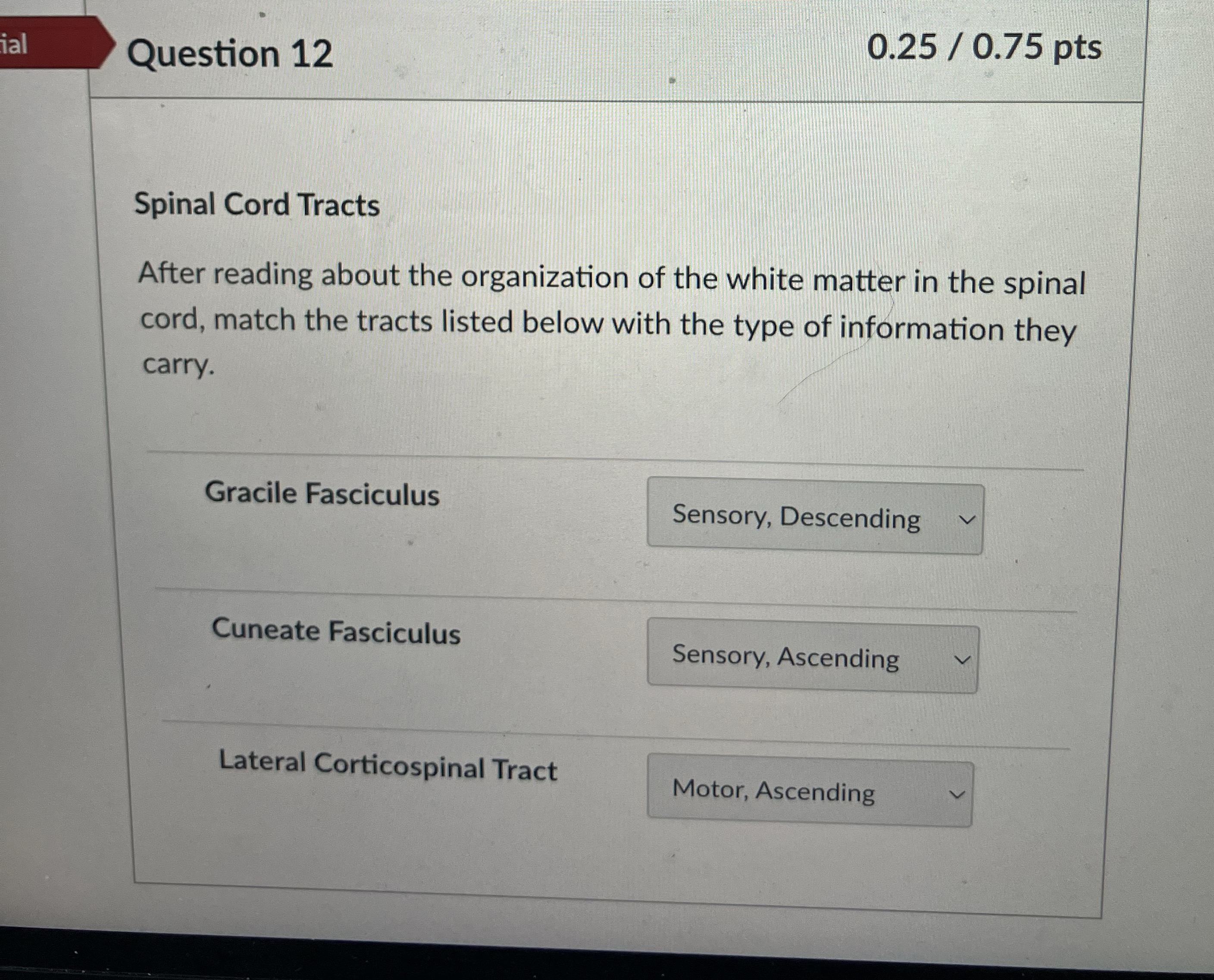 Solved After reading about the organization of the white | Chegg.com