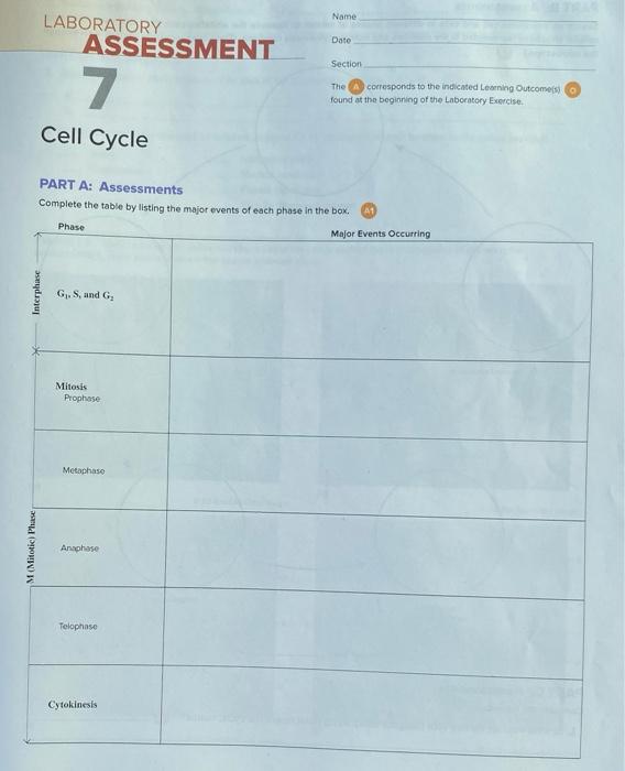 Solved Name LABORATORY ASSESSMENT Date Section 7 The | Chegg.com
