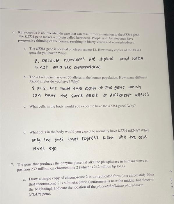 Please answer and explain part C of question 6 | Chegg.com
