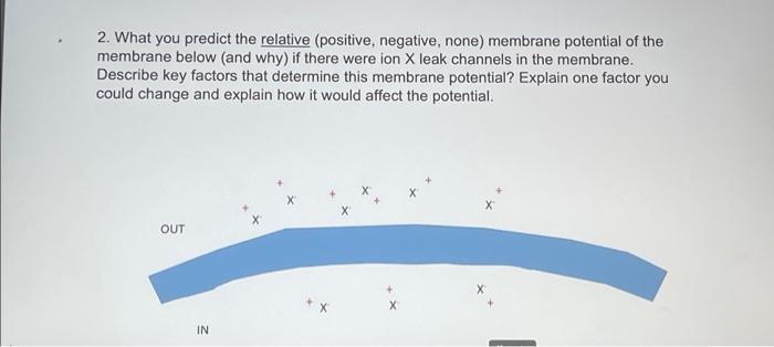 Solved 2. What you predict the relative (positive, negative, | Chegg.com
