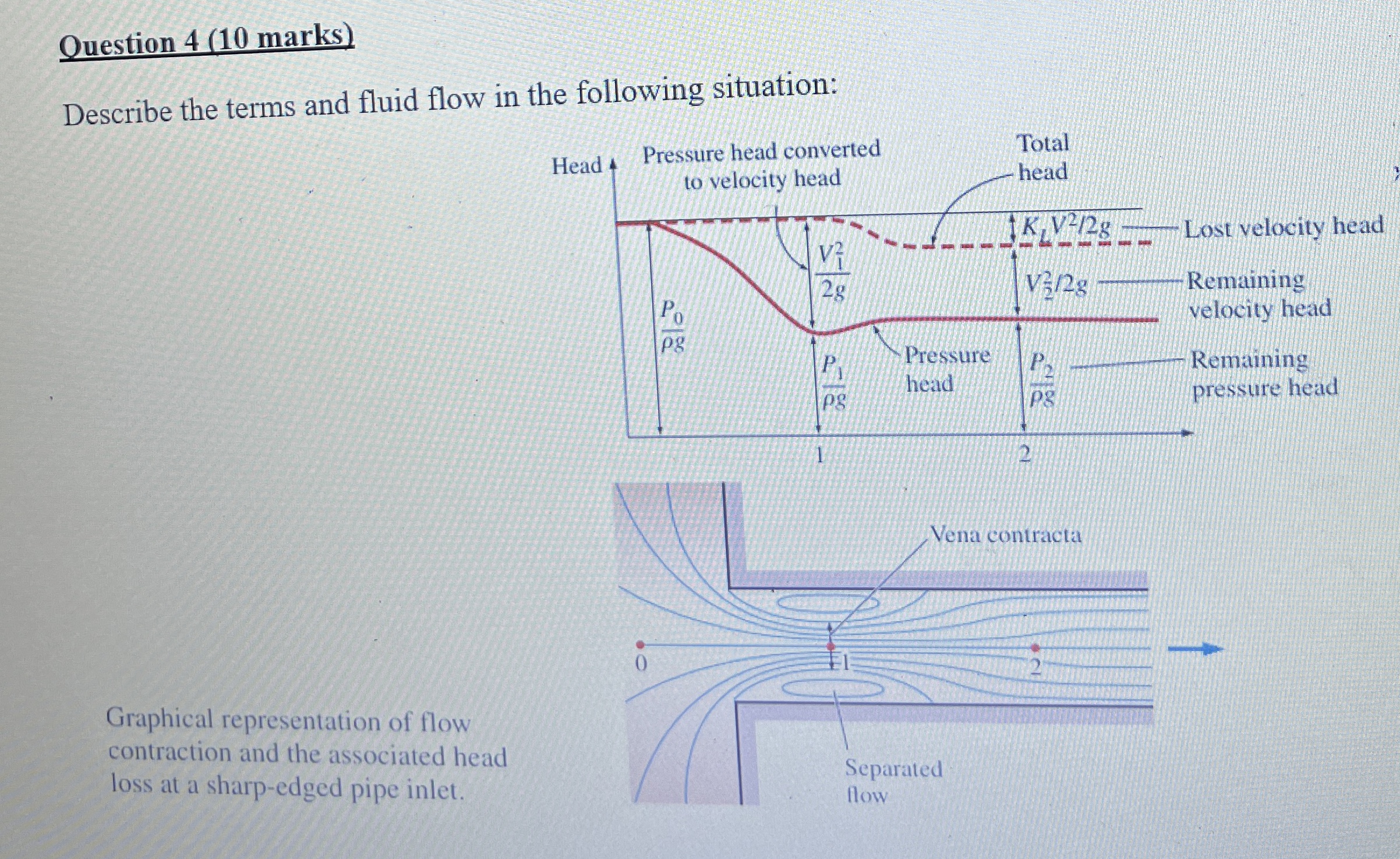 Solved Question 4 ( 10 ﻿marks)Describe the terms and fluid | Chegg.com