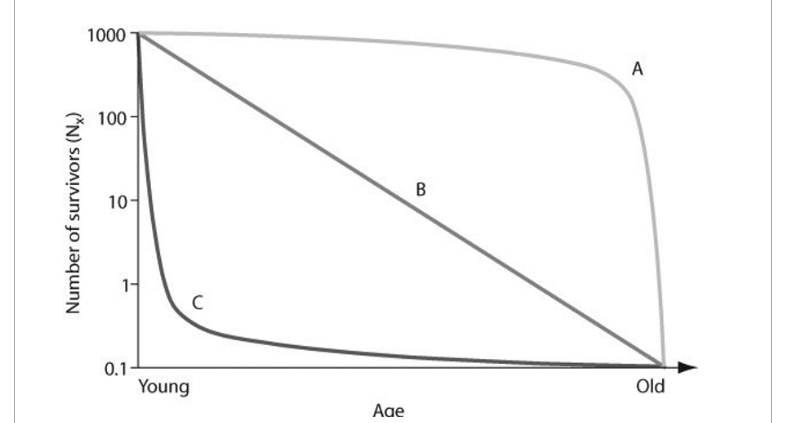 Solved Which of the following examples are plausible | Chegg.com