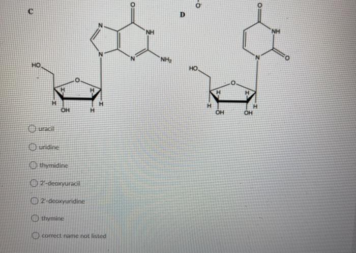 Solved o 0 C NH NH NH 0 HO HO H H OH H OH OH uracit uridine | Chegg.com