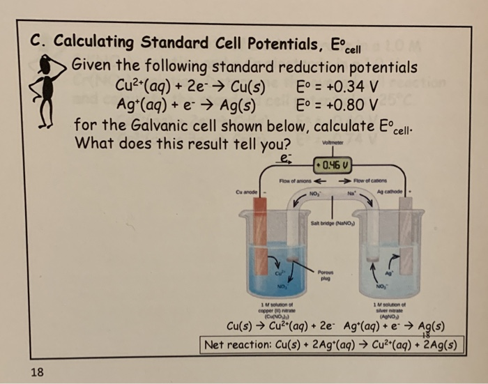 Solved C. Calculating Standard Cell Potentials, Eºcell Given | Chegg.com Solved C. Calculating Standard Cell Potentials, Eºcell Given | Chegg.com