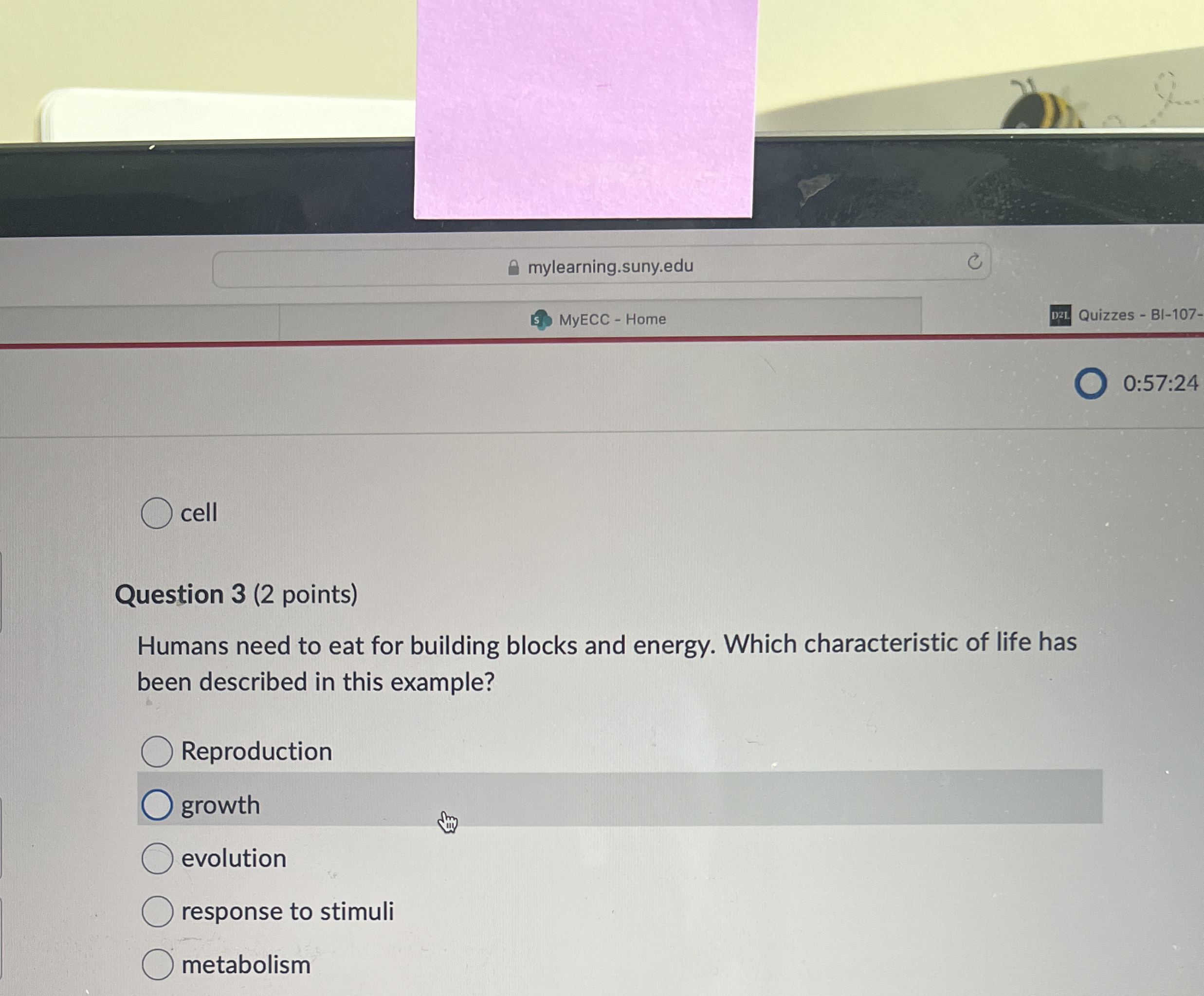 Solved cellQuestion 3 (2 ﻿points)Humans need to eat for | Chegg.com